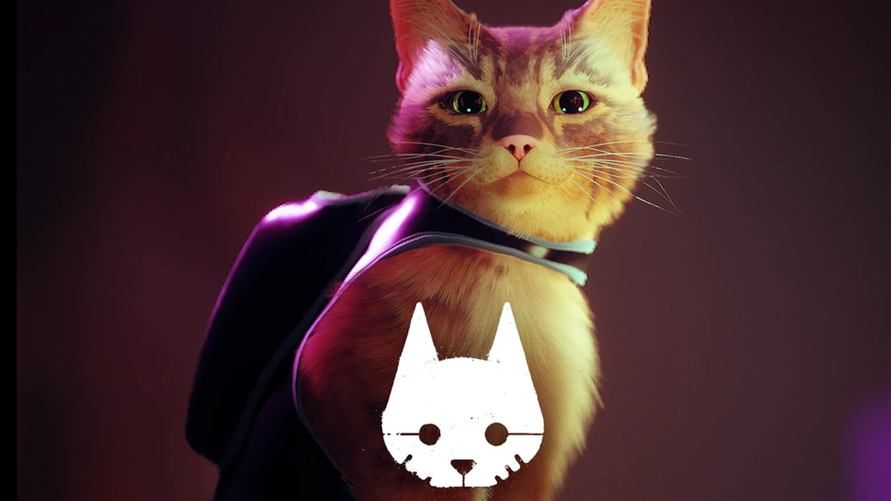 PlayStation fornece janelas de lançamento para Stray, We Are OFK e Cult ...